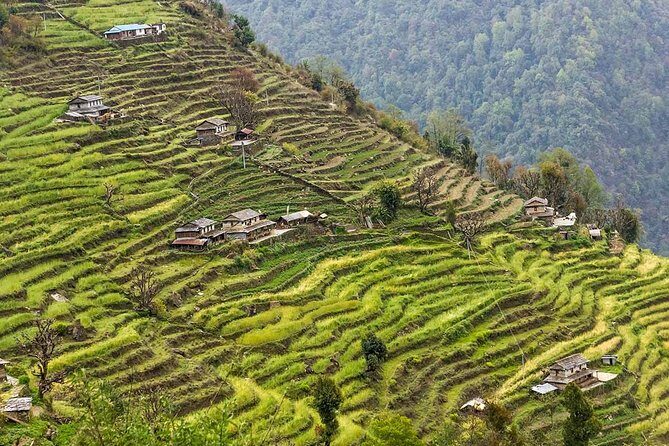 Poon Hill Trekking- A day to explore Nepal in a short time - FAQ