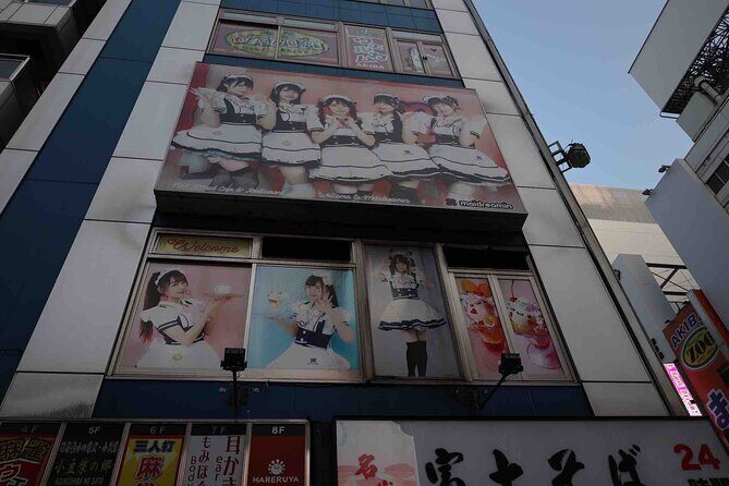 Pop Culture in Tokyo: A Self-Guided Walking Tour - Who Would Love This Tour?