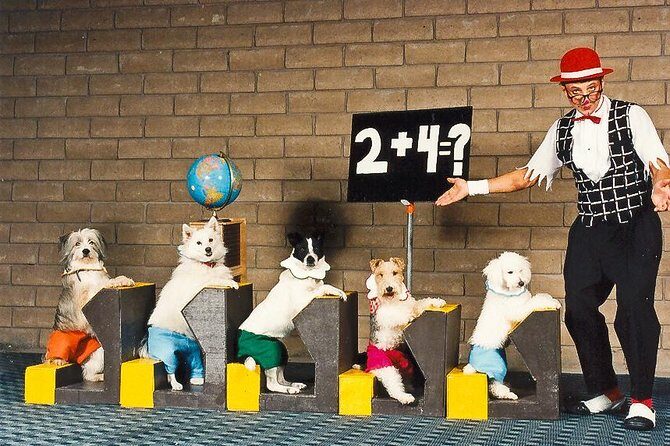 Popovich Comedy Pet Theater at Planet Hollywood Resort and Casino - FAQ
