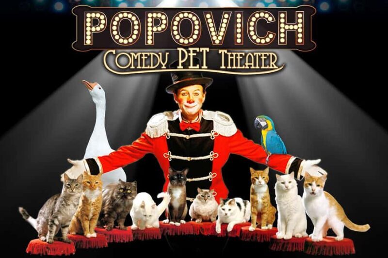 Popovich Comedy Pet Theater in Las Vegas - What Can You Expect During the Show?