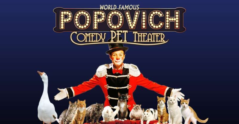 Popovich Comedy Pet Theater in Las Vegas - Key Points
