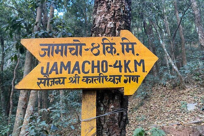 Popular One-Day Hiking Options near Kathmandu - Who Would Enjoy This Tour?