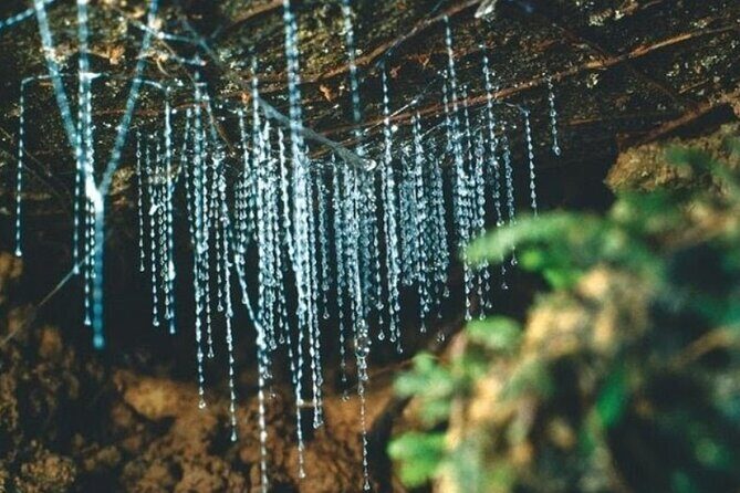 *Popular Tour* - Bay of Islands: Nature Adventure - 4hrs - Practical Details