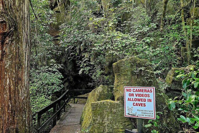 *Popular Tour* - Bay of Islands: Nature Adventure - 4hrs - FAQ