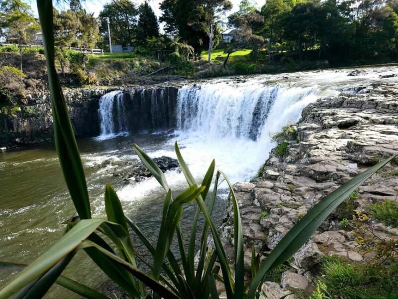 *Popular Tour* - Bay of Islands: Nature Adventure Tour - A Closer Look at the Itinerary and What You Can Expect