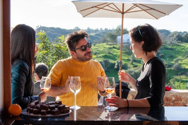 Porches: Algarve Vineyard Tour and Wine Tasting Experience - Who Is This Tour Best For?
