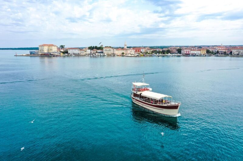 Pore: Dolphin Spotting Cruise with Included Drinks - Authentic Reviews and Real Traveler Insights