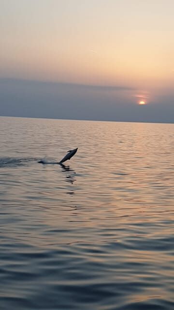 Pore: Sunset Dolphin Safari with Dinner and Drinks - Setting Out on a Scenic and Flavored Voyage