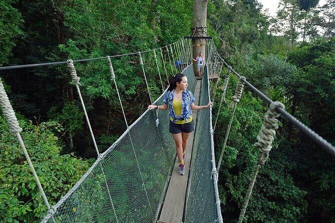 Poring Hot Springs Tour from Kota Kinabalu including Treetop Canopy Walk - Key Points