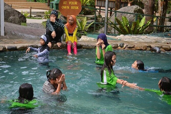 Poring Hot Springs Tour from Kota Kinabalu including Treetop Canopy Walk - Exploring Sabah’s Natural Wonders