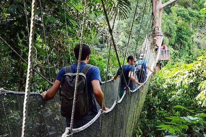 Poring Hot Springs Tour from Kota Kinabalu including Treetop Canopy Walk - Who Would Enjoy This Tour?