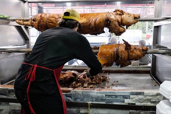 Pork Highway and Rainforest Excursion with transport - Key Points