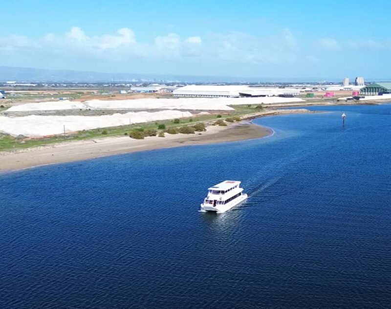 Port Adelaide: Dolphin and Maritime Cruise - Final Thoughts: Who Should Consider It?