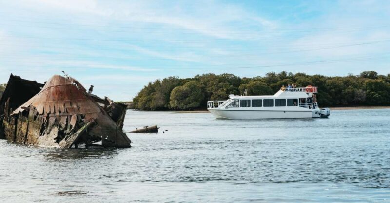 Port Adelaide: Dolphin and Ships Graveyard Cruise - What Makes This Tour Special?