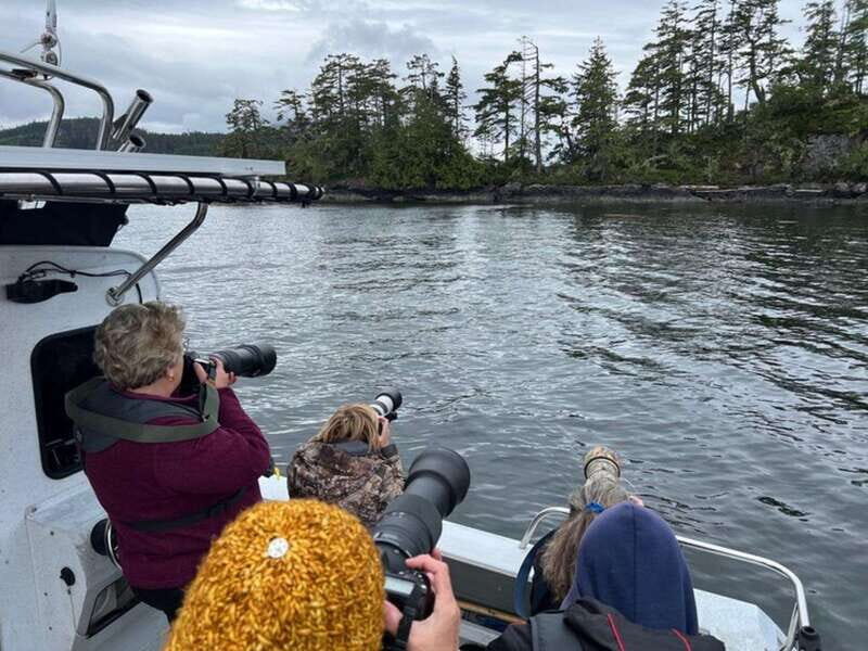Port Alice: Sea Otter and Wildlife Tour - 6 hour with lunch - Price and Value Analysis