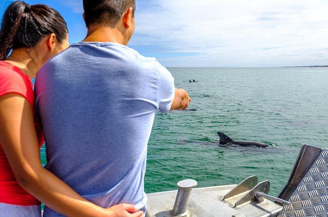 Port and Dolphin Cruise Bunbury Tour - The Value Equation