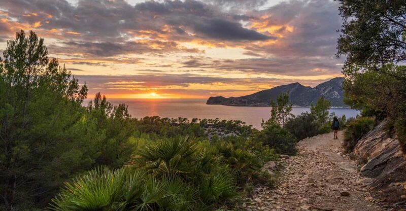Port Andratx: Hiking Tour into the sunset to Sant Elm - An In-Depth Look at the Tour