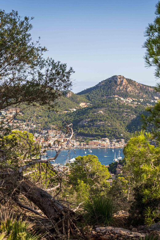 Port Andratx: Hiking Tour into the sunset to Sant Elm - Authentic Experiences and User Feedback