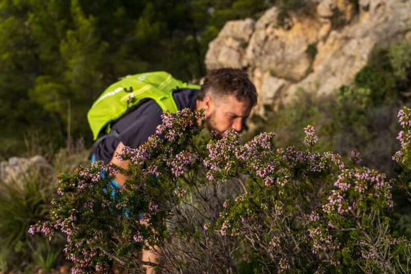 Port Andratx: Hiking Tour into the sunset to Sant Elm - The Sum Up