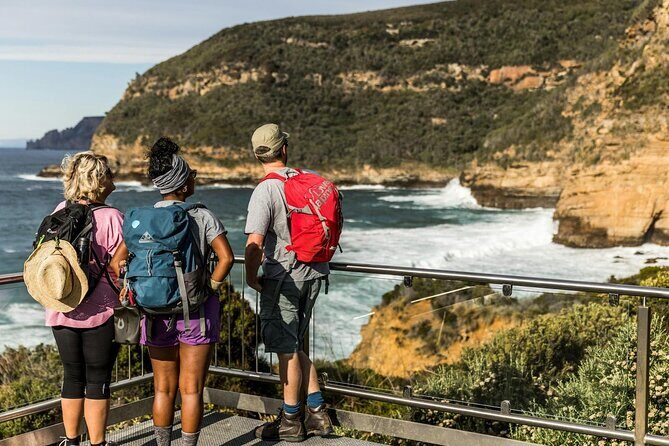 Port Arthur Day Tour from Hobart with Scenic Harbour Cruise - The Harbour Cruise: A Different Perspective