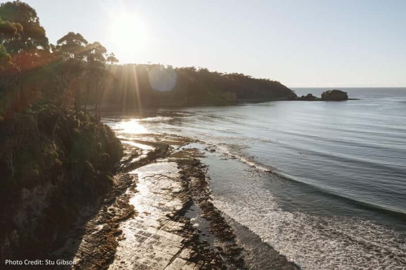 Port Arthur: Historic Site & Peninsula (8hr Private Tour) - In The Sum Up