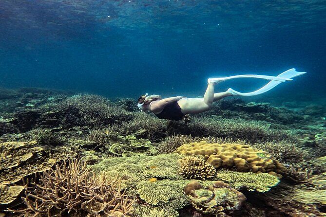 Port Barton Full Day Island Hopping with Buffet Lunch - Key Points