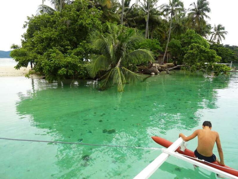 Port Barton: Island Hopping to Turtle Spot & Reef with Lunch - A Deep Dive into the Port Barton Island-Hopping Experience