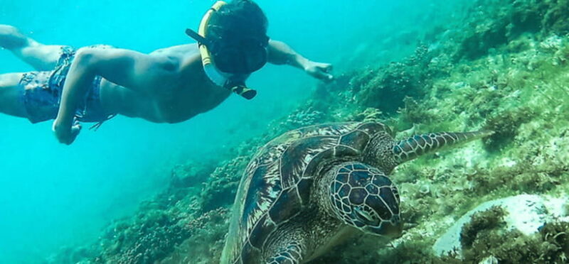 Port Barton: Island Hopping to Turtle Spot & Reef with Lunch - An Invitation to Discover Port Barton’s Marine Magic