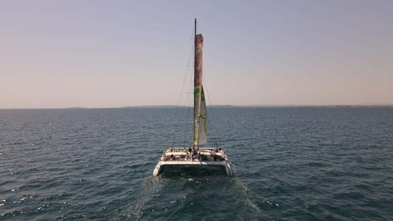 Port Camargue: Half-Day Sailing Tour on a Racing Catamaran - Key Points