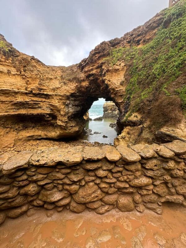 Port Campbell: Great Ocean Road & 12 Apostles Tour - The Drive Through Great Otways National Park
