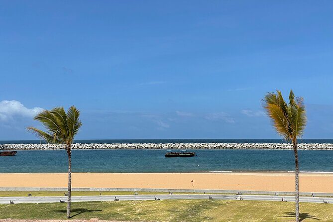 Port City Beach Safari - Key Points