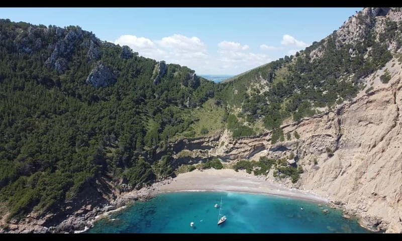 Port d'Alcúdia, Mallorca: Half Day Sailing Trip - Who Should Consider This Trip?