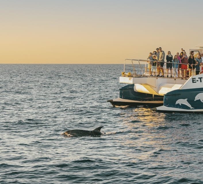 Port d'Alcudia: Sunrise at Sea & Dolphin Watching Boat Tour - Key Points