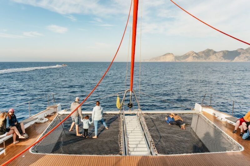 Port d'Alcudia: Sunrise at Sea & Dolphin Watching Boat Tour - The Sum Up