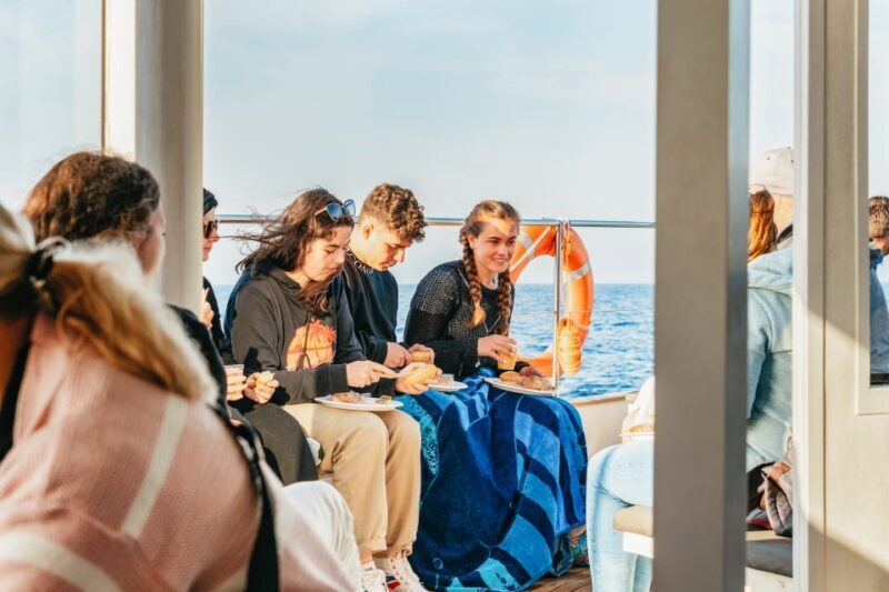 Port d'Alcudia: Sunrise at Sea & Dolphin Watching Boat Tour - FAQ