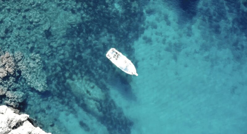 Port de Sóller: Snorkeling Tour with Professional Guide - The Quality of Guidance and Equipment