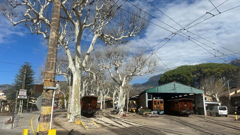 Port de Sóller, Sóller, and Sa Foradada Sunset Tour - Key Points