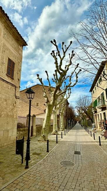 Port de Sóller, Sóller, and Sa Foradada Sunset Tour - A Closer Look at the Mallorca Sunset Tour: What You’ll Experience