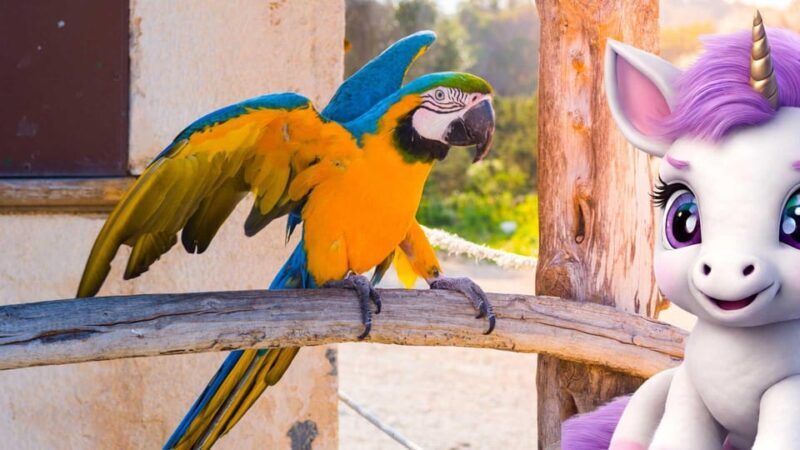 Port de Sóller: The Magical Creatures of Sóller, family game - The Sum Up