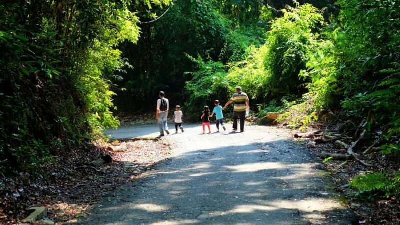 Port Dickson: Cape Rachado Forest Reserve Guided Tour - Final Thoughts: Who Is This Tour Perfect For?