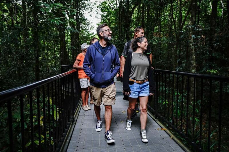 Port Douglas: Afternoon Daintree Tour w/ Wildlife Cruise - Key Points