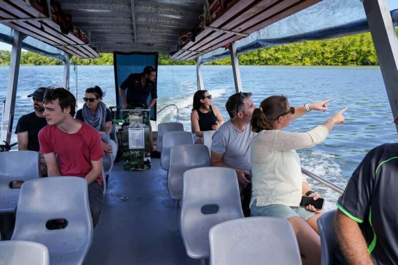 Port Douglas: Afternoon Daintree Tour w/ Wildlife Cruise - FAQ