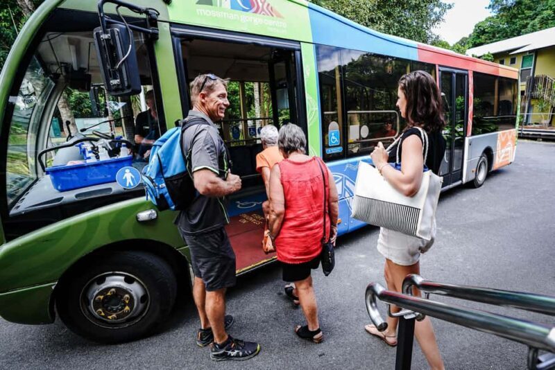 Port Douglas: Best of Daintree Rainforest Day Tour - Lunch and the Rainforest Swim