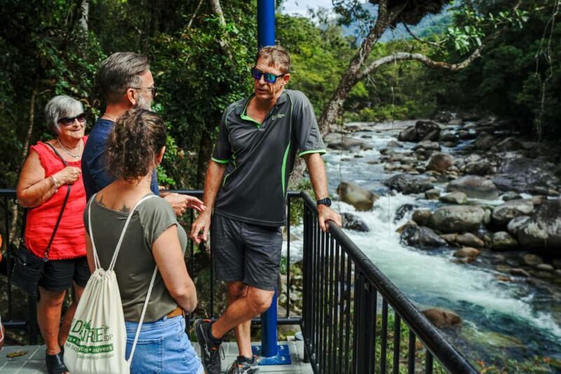 Port Douglas: Best of Daintree Rainforest Day Tour - Final Thoughts on the Day
