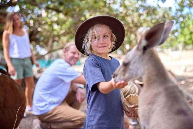Port Douglas: Breakfast with the Birds - Key Points