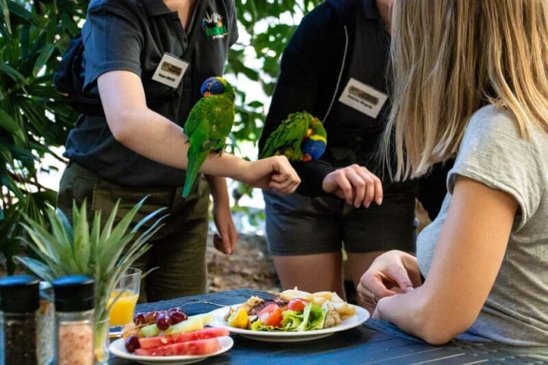 Port Douglas: Breakfast with the Birds - Wildlife Encounters and Educational Value