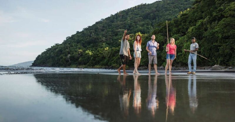 Port Douglas: Daintree Cultural Tour with Hotel Pickup - An Authentic Encounter in Nature and Culture