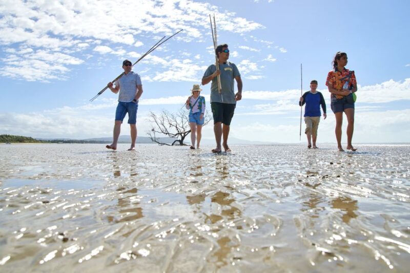 Port Douglas: Daintree Cultural Tour with Hotel Pickup - Exploring the Rainforest and Freshwater Stream