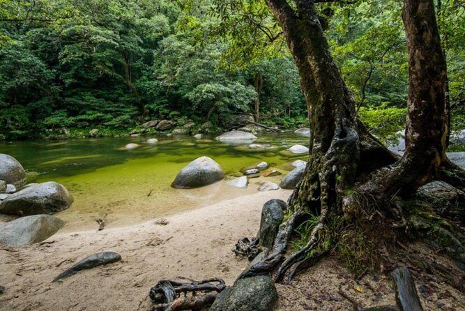 Port Douglas Daintree National Park Boutique Full-Day Tour - The Itinerary – What You’ll See and Do