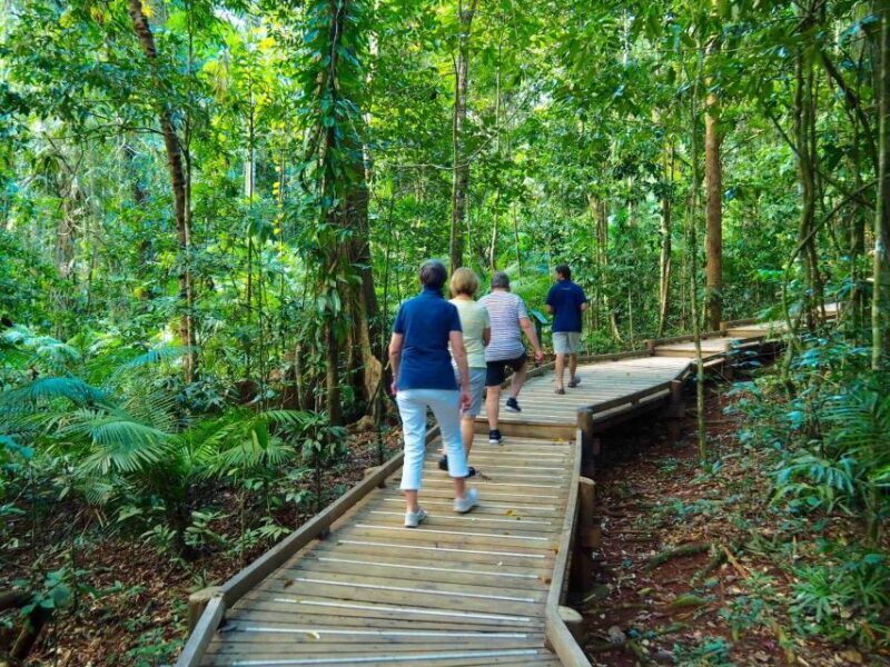 Port Douglas: Daintree Rainforest and Cape Tribulation Tour - Introduction to the Tour and Its Unique Charm